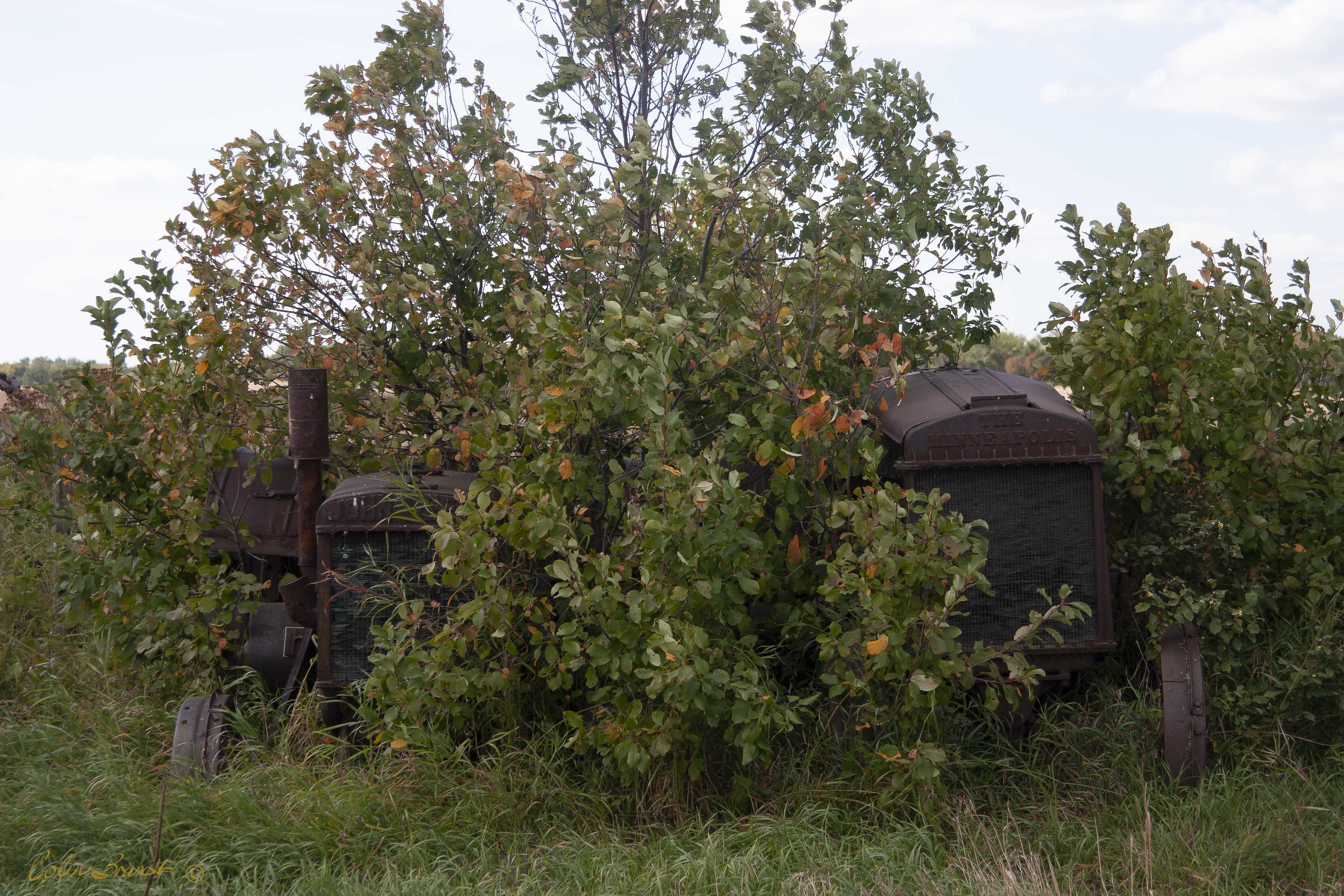 Part 13 – Me, My Cane and MS – On The Road With MS